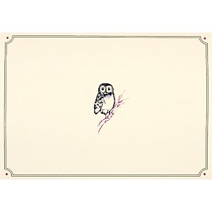 Owl Portrait Note Cards (Stationery, Boxed Cards)