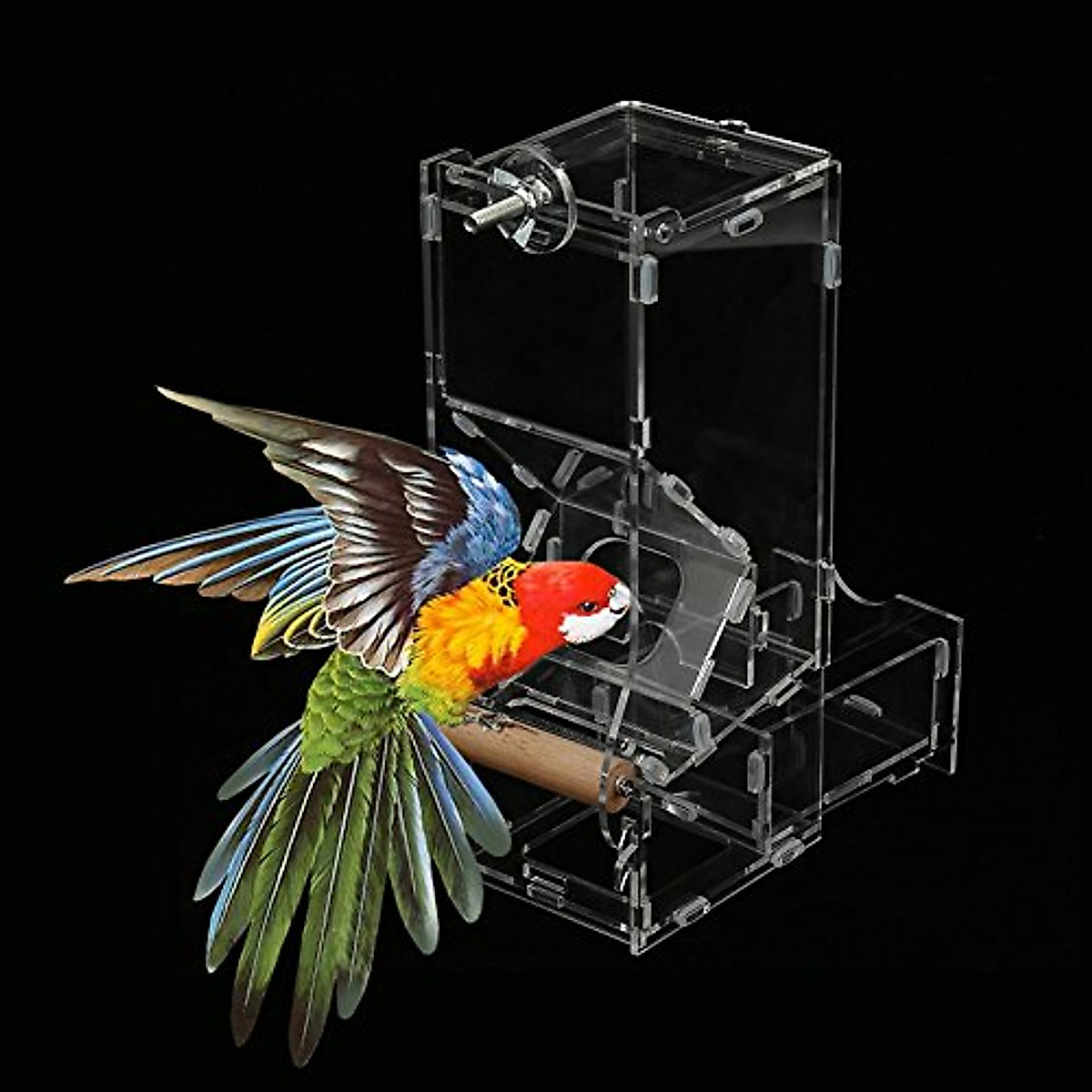 Bird Automatic Food Feeder, 1Pc Acrylic Transparent Parrot Integrated Automatic Feeder Automatic Bird Seed Feeder for Small to Medium Birds(M Single Type)