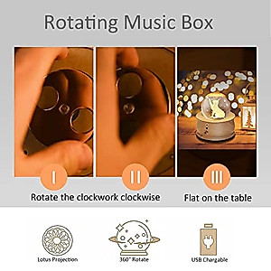 DCOVOR Crystal Ball Music Box, 3D Rotating Globe with Warm Light Projection, Wood Base USB Charging Musical Box, Gift for Women Men Girls Boys Birthday Christmas Thanksgiving Mothers Day (Cat)