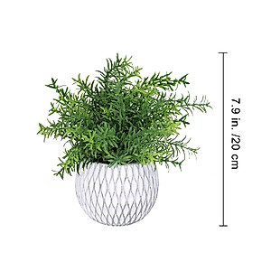 Winlyn 3 Pcs Small Potted Plants Artificial Eucalyptus Rosemary Plants and Aloe Succulent Plant in Gray Geometric Cement Pots for Gifts Table Windowsill Shelf Home Bathroom Indoor Outdoor Green Decor