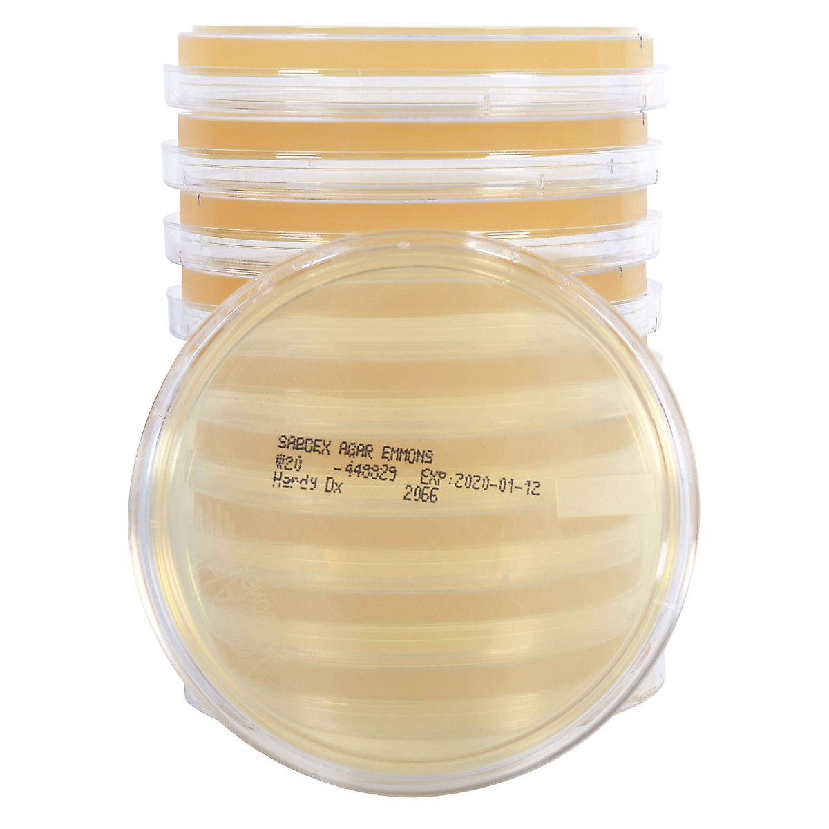Emmon's Sabdex (Sabouraud Dextrose) Agar, for The Culturing of Fungi and Yeast, Deep Fill, 15x100mm Plate, Order by The Package of 10, by Hardy Diagnostics
