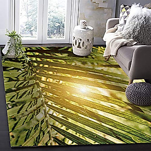 Area Rug 2' x 3' Palm Leaf Carpet Tropical Plants Sunshine Floor Mat Non Slip Runner Rectangle Rugs for Living Room Bedroom