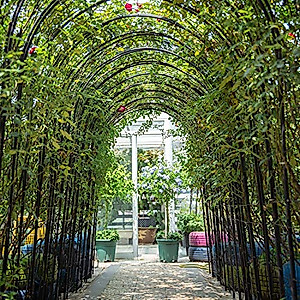 Garden Arches and Arbors Outdoor Black Metal Arbor for Climbing Plants Vines Roses Wedding Archway