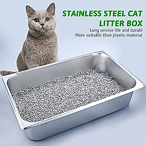 Fhiny Stainless Steel Litter Box for Cat, Large Size With High Sides and Non Slip Rubber Feet Cat Toilet Non Stick Smooth Surface Litter Pan Never Absorbs Odors Stains or Rusts Durable Kitten Supplies
