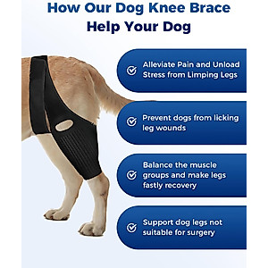 Huimpet Dog Hip Knee Leg Brace Dog ACL Brace for Front Torn and Back Hind Rear Legs ACL Tear, Dog Leg Brace for Hip Dysplasia, Dog Arthritis, Luxating Patella, Comfortable and Adjustable (M-Size)