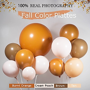 Burnt orange Balloon Garland Arch Kit 120pcs Double Stuffed Pumpkin Orange and Cream Peach fall balloon for Autumn Wedding Boho Teddy Bear Baby Shower, Birthday Decorations