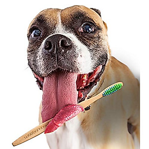 Woobamboo! Eco-Friendly Large Breed Bamboo Toothbrush 2 Pack