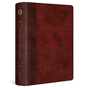 ESV Single Column Journaling Bible, Large Print (TruTone, Burgundy/Red, Timeless Design)