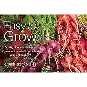 Radish Seeds for Planting 5 Individual Packets - Watermelon, French Breakfast, Champion, Cherry Belle, White Icicle for Your Non GMO Heirloom Vegetable Garden by Gardeners Basics