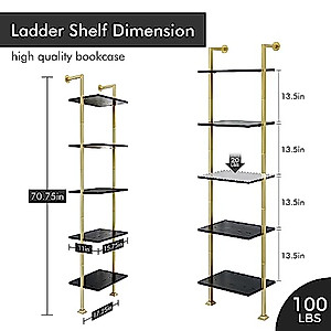 Axeman 5-Tier Ladder Bookcase, Tall Narrow Bookshelf for Small Spaces, Modern Book Storage Organizer Case Open Shelves for Bedroom, Living Room, Office, Library, Gold Metal Frame and Black Shelf