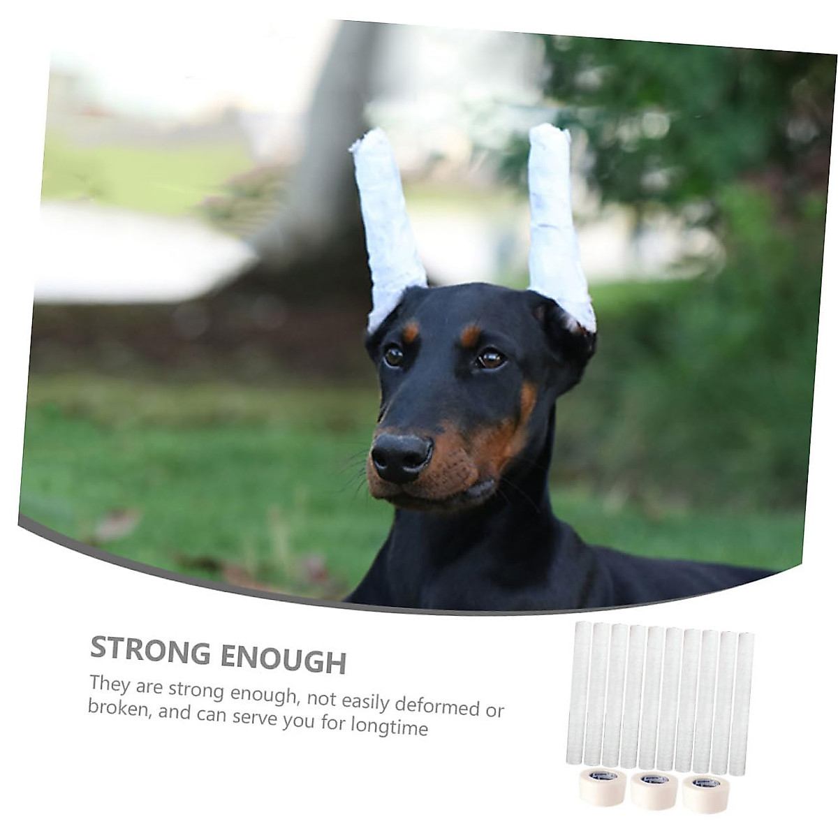 BCOATH 10pcs Puppy Dog Ear Stand Ear Standing Tool Pet Ear Tape Dog Ear Support Dog Supply Ear Standing Support Stick Doberman Pinscher Bracket Foam White Pet Dog Dedicated