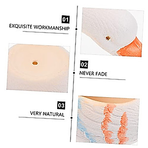 NUSITOU 4 pcs Pottery Pen Ceramic Decorative Creative Random Succulents Swan Home Succulent Animals Window Resin Figure Holder Pots for Planters Plant Bonsai Mini Flowerpot Animal