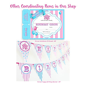 Carousel Carnival Birthday Banner - Multi Color
