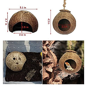 kathson Lizard Coco Den with Ladder, Reptile Hideouts Gecko Coconut Husk Hut with Artificial Bendable Jungle Climbing Vines for Chameleon, Lizards, Gecko, Snakes to Hide Perch and Play
