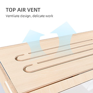 Niteangel Vista Hamster Cage W/Oblique Opening Cage Door - MDF Aspen Small Animal Cage for Syrian Dwarf Hamsters Degus Mice or Other Similar-Sized Pets (Large - 47.1 x 22.7 x 26.9 inches, Burlywood)