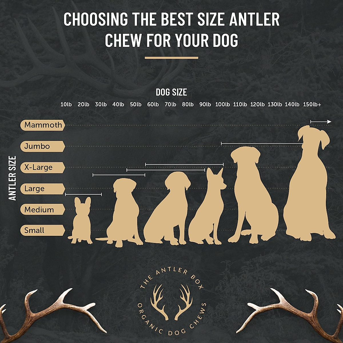 The Antler Box Premium Elk Antler Dog Chews (1 Piece Box) (Split, X-Large (6-8Oz)