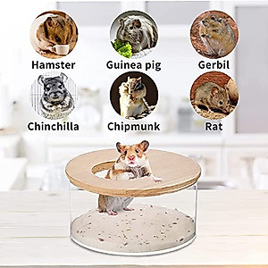 Large Hamster Sand Bath Box, Transparent Acrylic Sand Bath Box and Hamster Bathroom, Hamster Home and Hamster Accessories