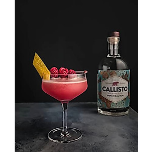 Viski Raye Angled Stemmed Crystal Coupe Cocktail glassess, Champagne Coupe Glasses, Drinkware Set, Espresso Martini glasses set of 2, 7oz