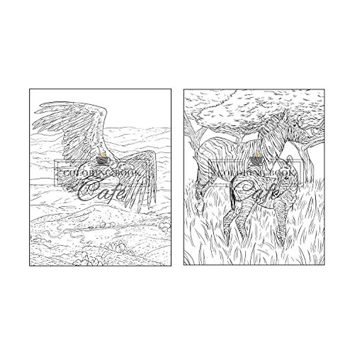 100 Wildlife Scenes: An Adult Coloring Book Featuring 100 Most Beautiful Wildlife Scenes with Animals, Birds and Flowers from Oceans, Jungles, Forests and Savannas