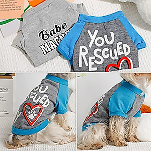 4 Pieces Dog Shirt, Dog Clothes for Small Dogs Boy, Summer Funny Printed Cool Dog Clothes Male Cute Pet Puppy Clothing Outfits Tshirts, Cat Apparel, S,Blue,Grey,Black