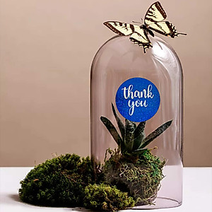 Abeike Thank You Label Sticker 1.5 Round, 500 Labels per Roll, Thank You Sticker for Birthday, Wedding, Gift, Bridal Shower. (Blue -Silver)