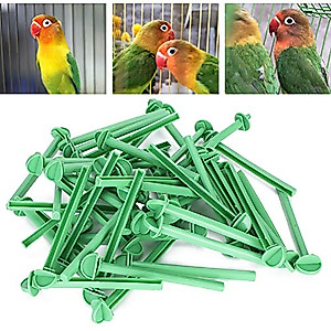 50Pcs Plastic Stand Perches Holders, 6.3in Bird Standing Stick Stand for Canary Finch Budgie Bird Cage