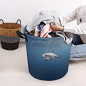 Shortfin Shark Under The Sea Large Laundry Basket Hamper Bag Washing with Handles for College Dorm Portable