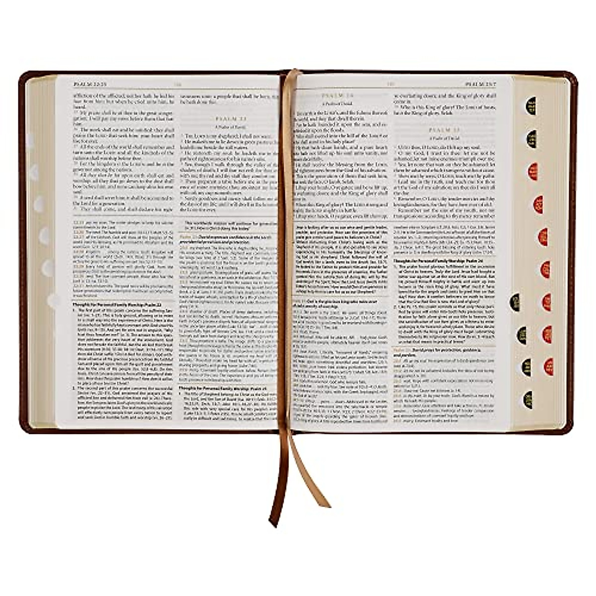 KJV Study Bible, Large Print Faux Leather - Thumb Index, King James Version Holy Bible, Art Nouveau Framed Saddle Tan
