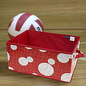 Passion for Volleyball Collection 17"x12"x8" Storage Bin