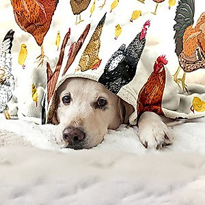 Chicken Fleece Plush Blanket Funny Rooster Lightweight Throw Blanket for Couch Bed Chicken Room Decor Fuzzy Super Soft Blankets Chicken Gifts for Kids Adults Women 50"x60" (Chicken, 50"x60")