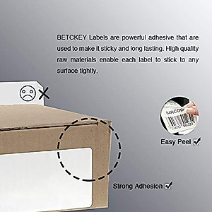 BETCKEY - 2" x 1" UPC Barcode & Address Labels Compatible with Zebra & Rollo Label Printer,Premium Adhesive & Perforated[10 Rolls, 13000 Labels]