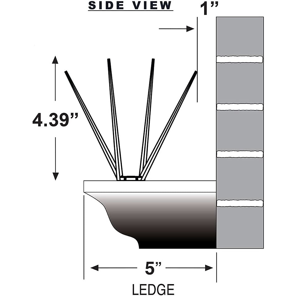 Bird B Gone Enviro-Spike Bird Spike, True 10-Feet, MADE IN THE USA