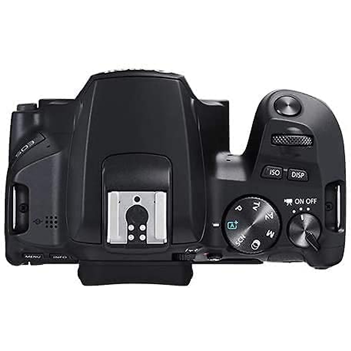 EOS 250D / Rebel SL3 Digital SLR Camera Body w/EF-S 18-55mm f/3.5-5.6 Lens 3 Lens DSLR + Canon 75-300 Lens Kit Bundled with Complete Accessory Bundle - International Model (Renewed)