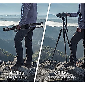 RALENO® 78'' Camera Tripod with 360° Ball Head - Versatile, Sturdy, and Compact Metal Tripod for Professional Photography (20lbs Load, Includes Bag&Disassembly Tools)