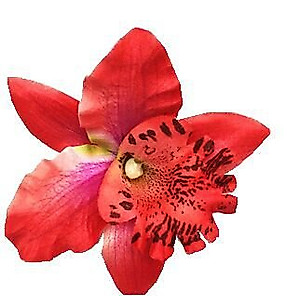 10 Pieces Women Chiffon Flowers Hair Clips Butterfly Orchid Alligator Clips for Bridal Wedding Accessory Beach Party Wedding Event Decor