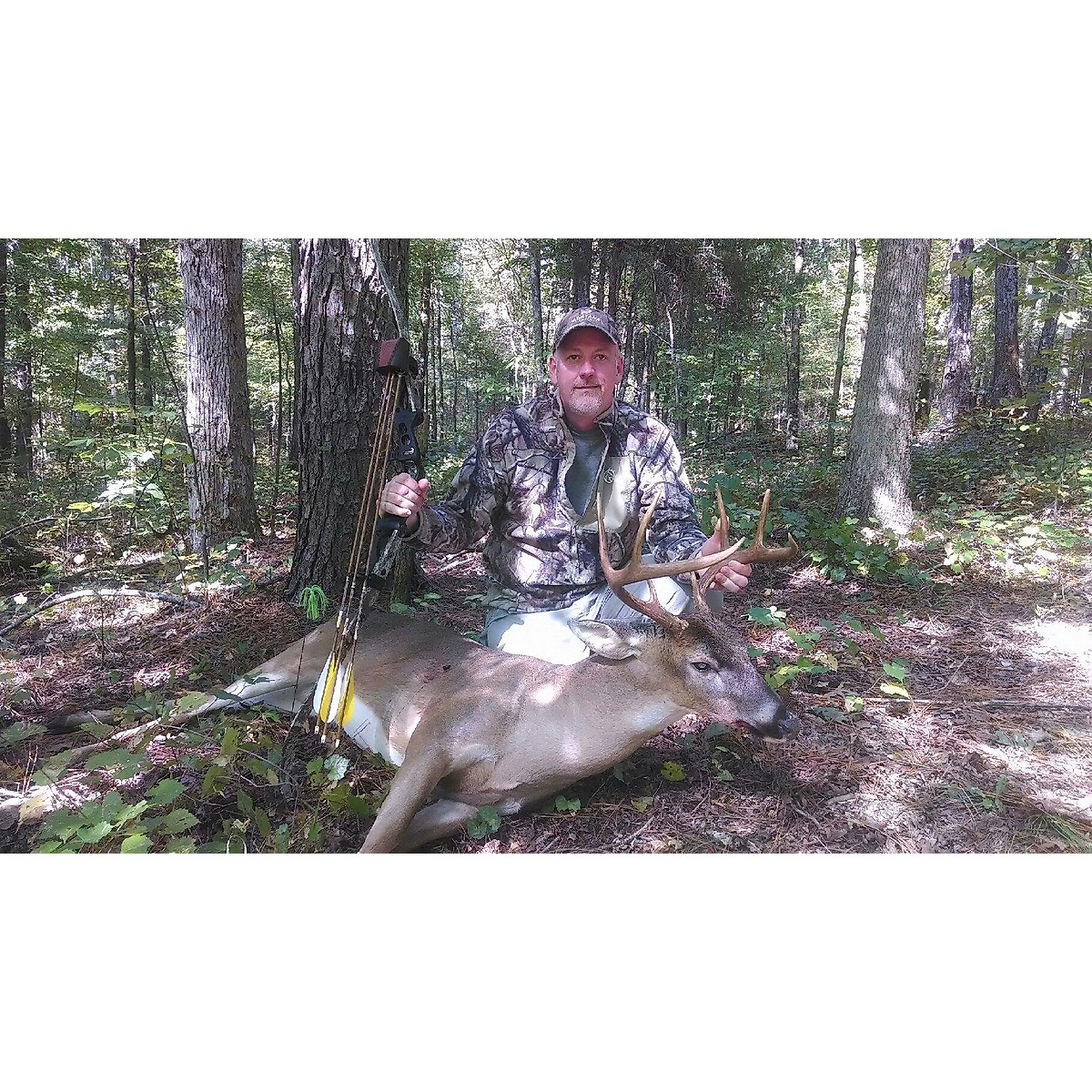 Wasp Archery SharpShooter Traditional 150 Grain Cut On Contact Broadhead