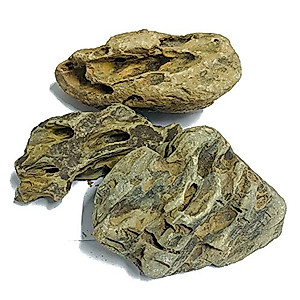 ZYYRT Natural Stone Aquarium Decoration 4.4 lb Dragon Stone Rock Mixed Sizes for Micro Landscape Fish Tank Decor