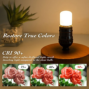 Genixgreen Low Watt Light Bulb, Frosted LED Night Light Bulb 15W Equivalent,T28 1.5 Watt Tiny LED Fridge Bulb Decorative E26 Edison Bulb,Warm White 2700k, CRI 90+, 80LM, Pack of 2