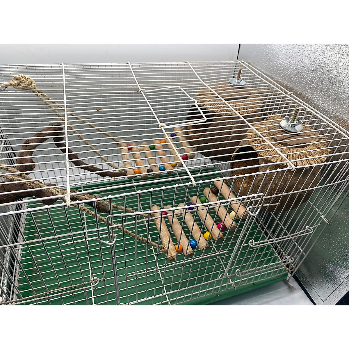 kuminamoja Coconut Bird's Nest with Ladder for Parrots Parakeet Conures Cockatiel and Small Animals (Large)