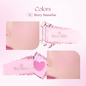 Dasique Blending Mood Cheek #06 Berry Smoothie | 4 Blendable Shades in Lightweight Smooth Powder | Vegan | Pink Blush