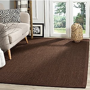 SAFAVIEH Natural Fiber Collection Accent Rug - 3' x 5', Chocolate & Dark Brown, Border Sisal Design, Easy Care, Ideal for High Traffic Areas in Entryway, Living Room, Bedroom (NF133D)