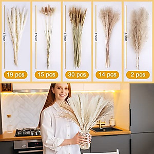 Natural Dried Pampas Grass Decor: 80 Pcs 17" Small Fluffy White Pampas Stems & Beige Reed Grass & Dry Wheat Bundle & Bunny Tail Grass Pampas Bouquet