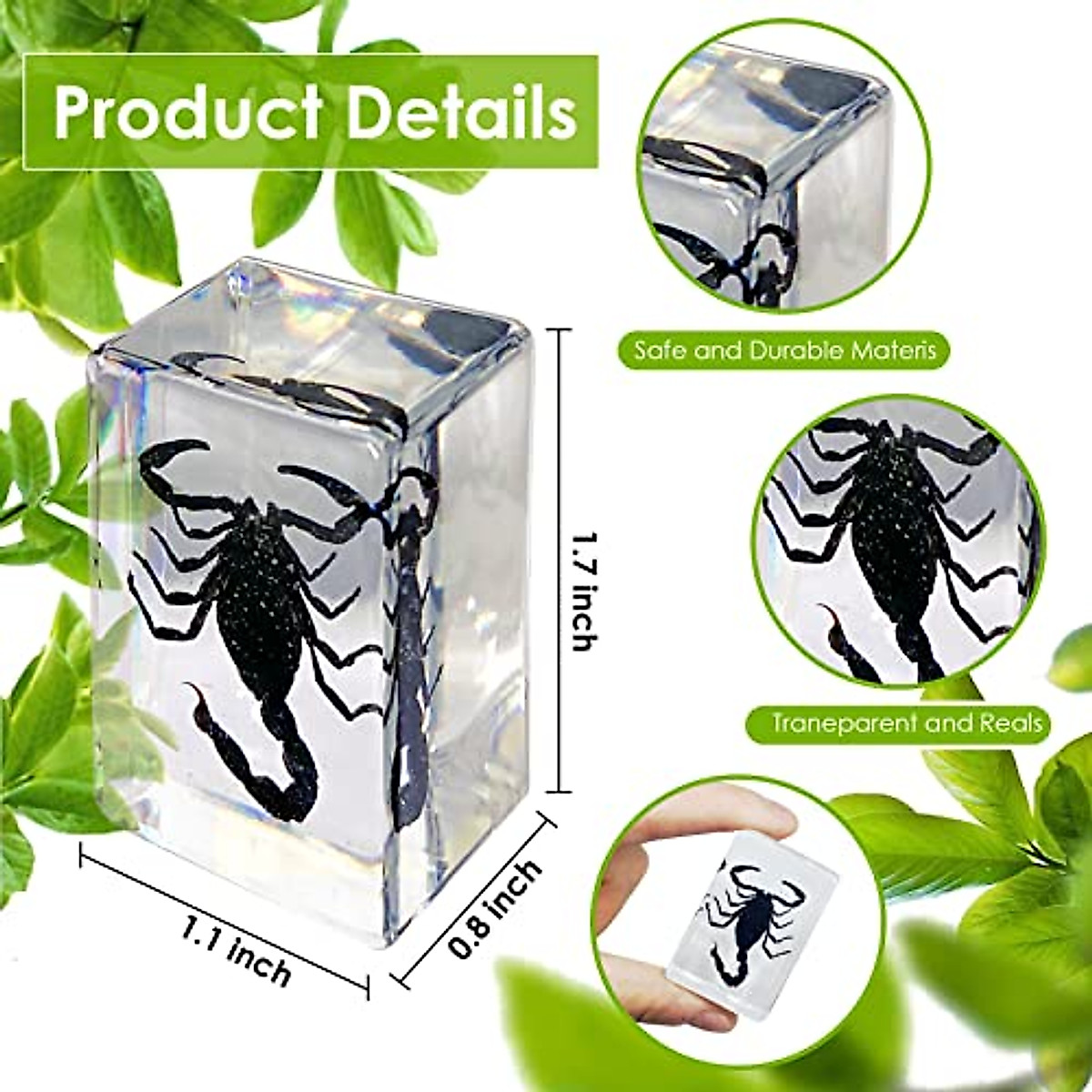 11 Pcs Insects in Resin Specimen Bugs Collection Paperweights Real Bugs in Resin Various Insect Specimen Bug Preserved in Resin Bugs Collection for Kids Scientific Educational Supplies Bugs Display