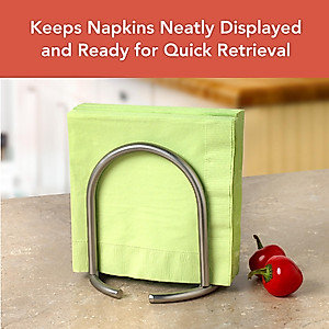 Spectrum Spectrum diversified satin nickel euro napkin holder, 0.25 Ounce