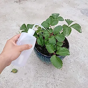 Axe Sickle 3 Pcs Plastic Safety Squeeze Bottle 500 mL Wash Bottle Watering Tool, Lab Tip Liquid Storage, 16oz / 3 Bottle.