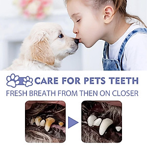 Lettuce Pets Toothbrush, Pet Oral Repair Gel for Dogs,Lettuce Pets Oral Repair Gel,Lettuce Pets Dog Toothbrush,Pet Breath Freshener Gel Care Cleaner for Dog Cats, Eliminate Breath (2)