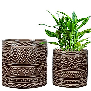 EPFamily 8 Inch Succulent Planter + 5.7 Inch + 4.7 Inch Flower Pot for Indoor Plants