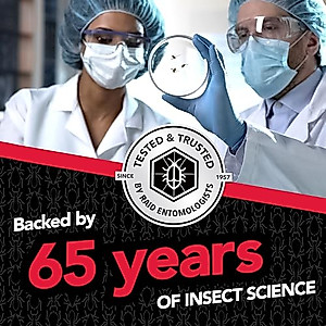 Raid MAX Perimeter Protection, 1 Gallon, Indoor & Outdoor Insecticide Spray with Reusable Electric Sprayer