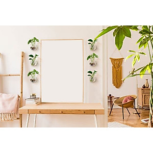 GEOLUX 6 Pack Terrarium Wall Hanging Glass Planters for Air Plants, Succulents, Herbs, Flowers Propogation Wall Hanging Planter Globes for Home Garden Office Décor Easily Mount to Wall