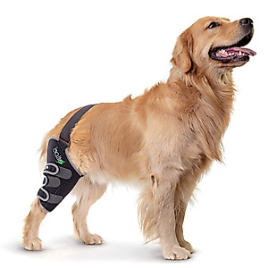 Balto Sport Agile CCL Brace – Knee Support for Dogs – Soft, Breathable Compression Wrap Helps Reduce Joint Inflammation – Right Leg, Large